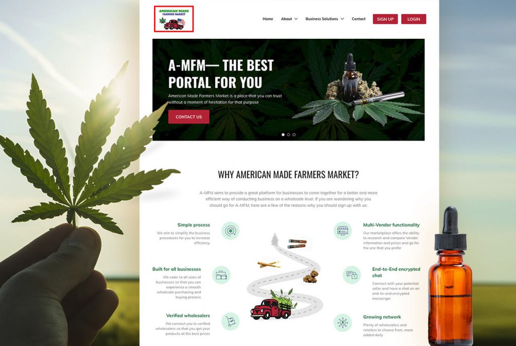 Web Design Agency | Digital Marketing Company - KrishaWeb