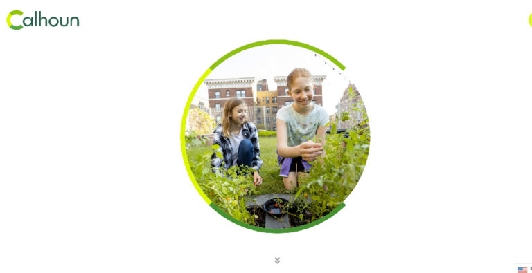 Top 10 Best School Website Designs to Get Inspired in 2024