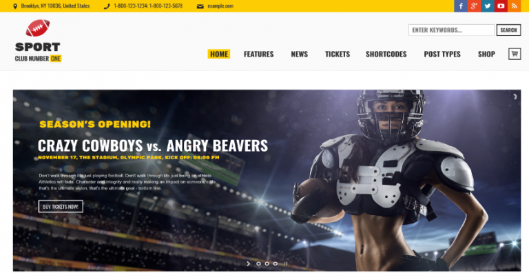 Best 15 WordPress Sports Themes to Use for Your Sports Website