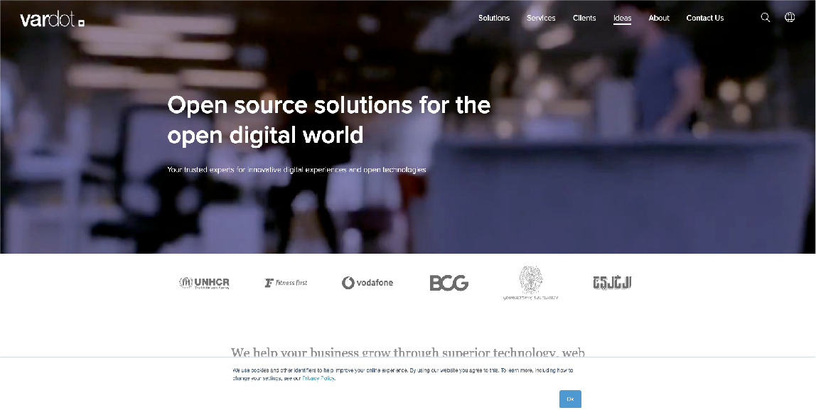 Top 10 Drupal Development Companies to Hire