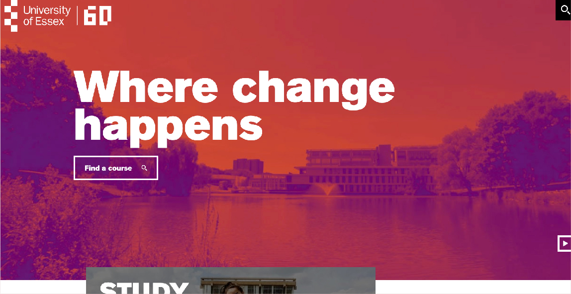 Top 10 Best University Website Designs to Checkout in 2024